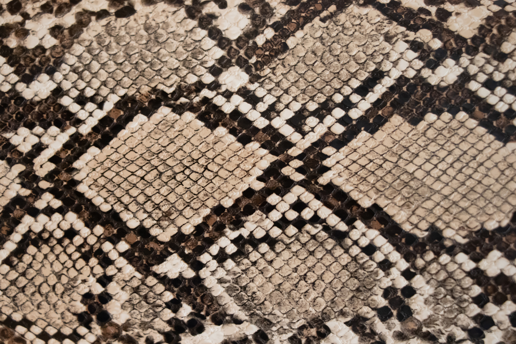 Tanning a Snake Skin and Cooking Snake Meat – Mother Earth News